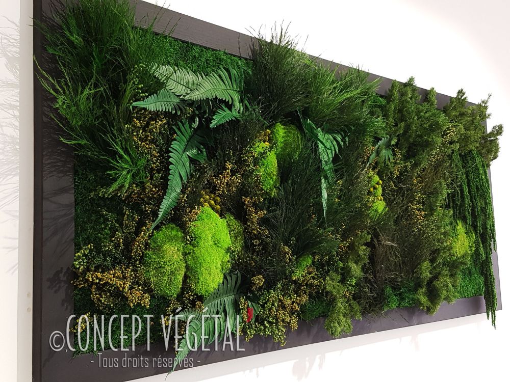 Tableau végétal sans entretien – Création sur mesure | Concept Végétal